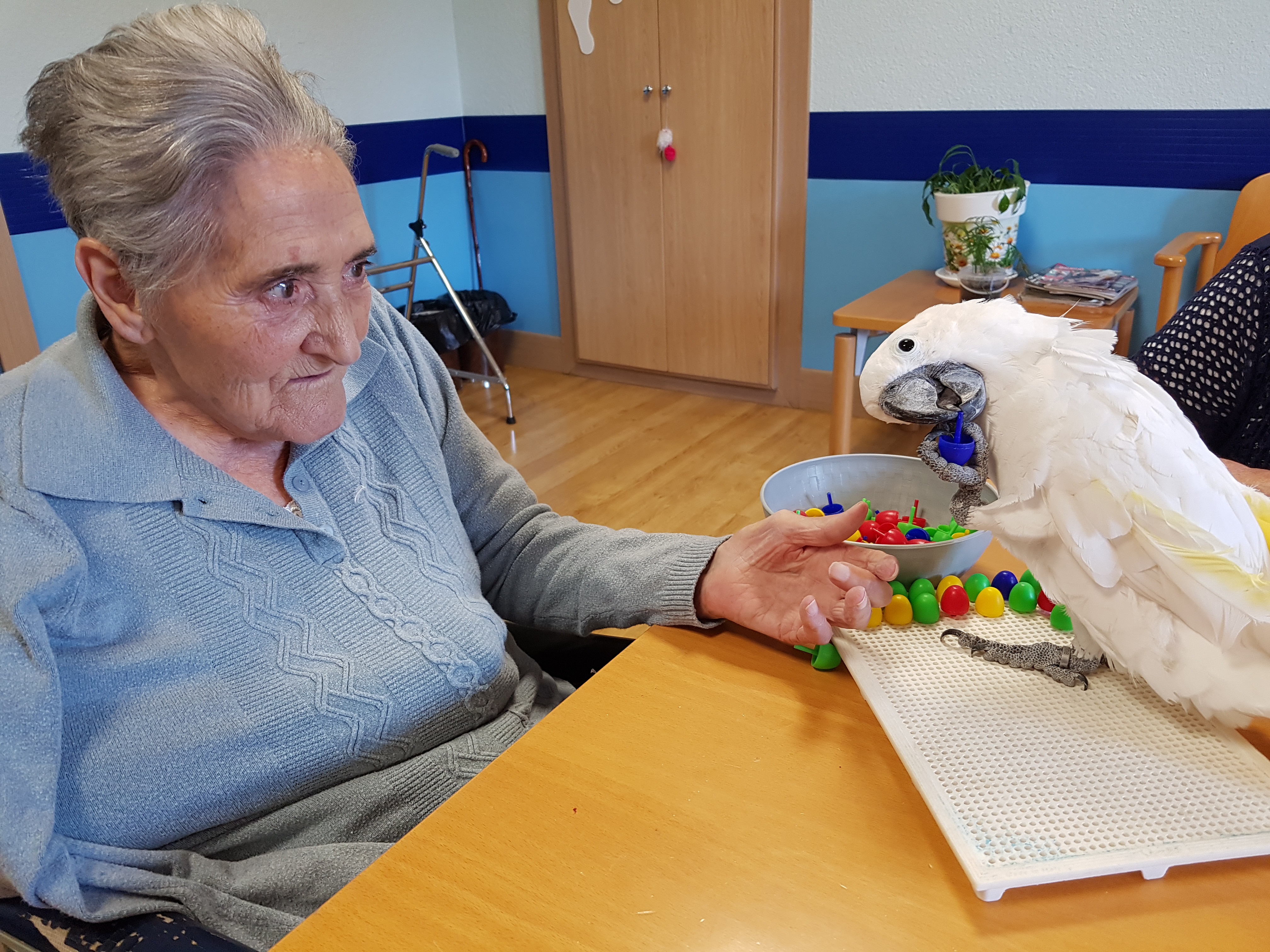 Animal Assisted Therapy (birds) – Uribarren Abaroa eng