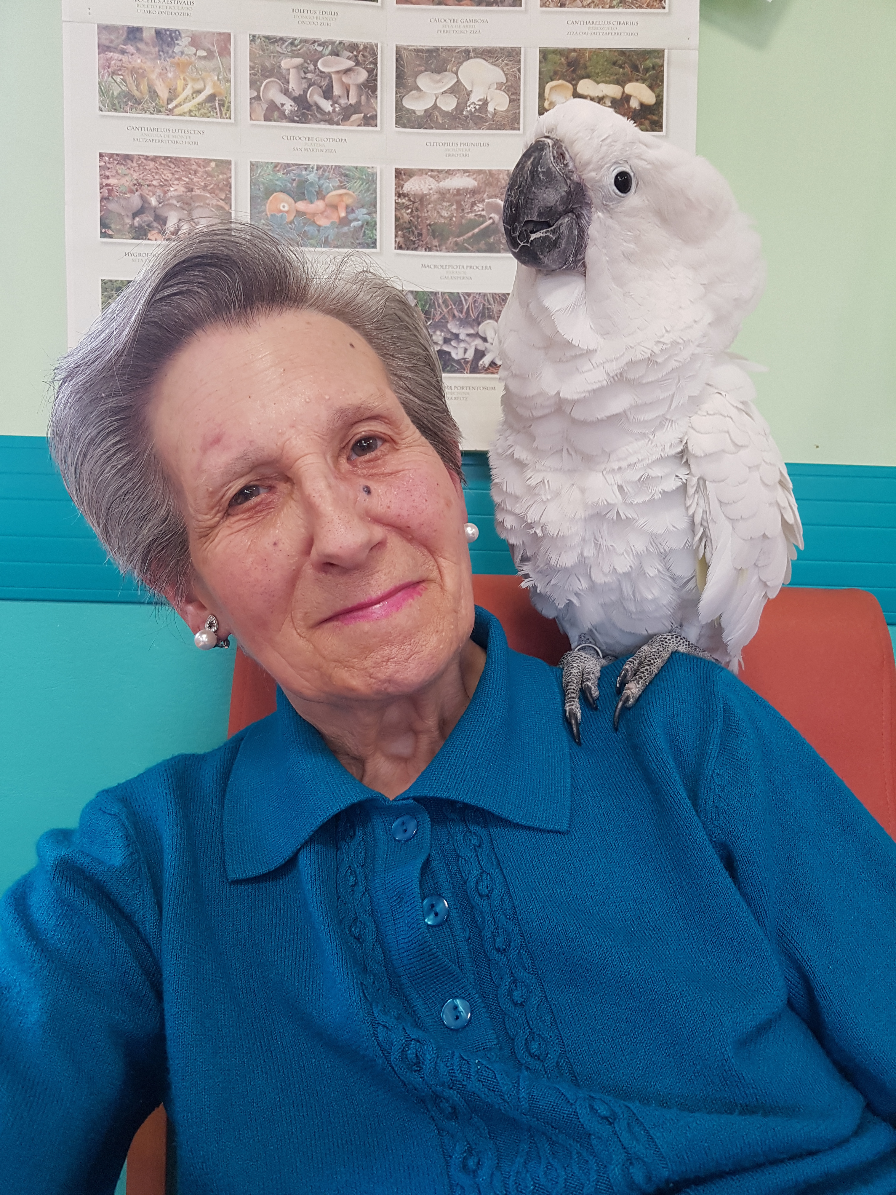Animal Assisted Therapy (birds) – Uribarren Abaroa eng