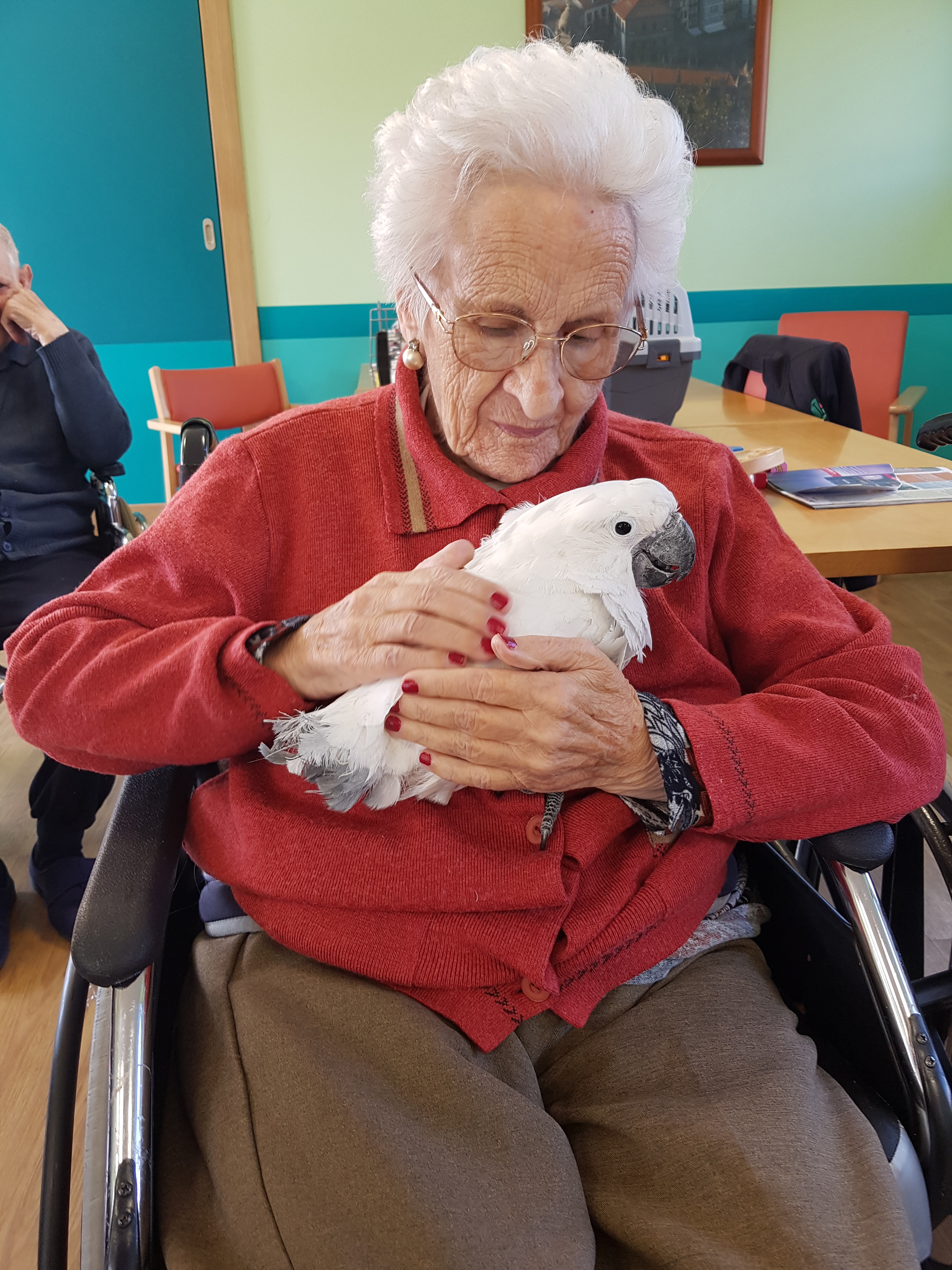 Animal Assisted Therapy (birds) – Uribarren Abaroa eng